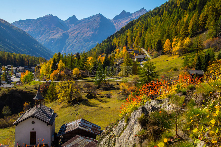 爱因斯坦高清图片下载-正版图片307213095-摄图网