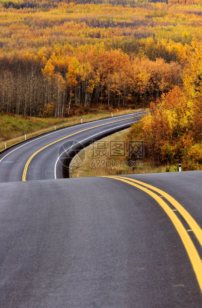 不列颠哥伦比亚省斯彭森林高清图片下载-正版图片307289492-摄图网