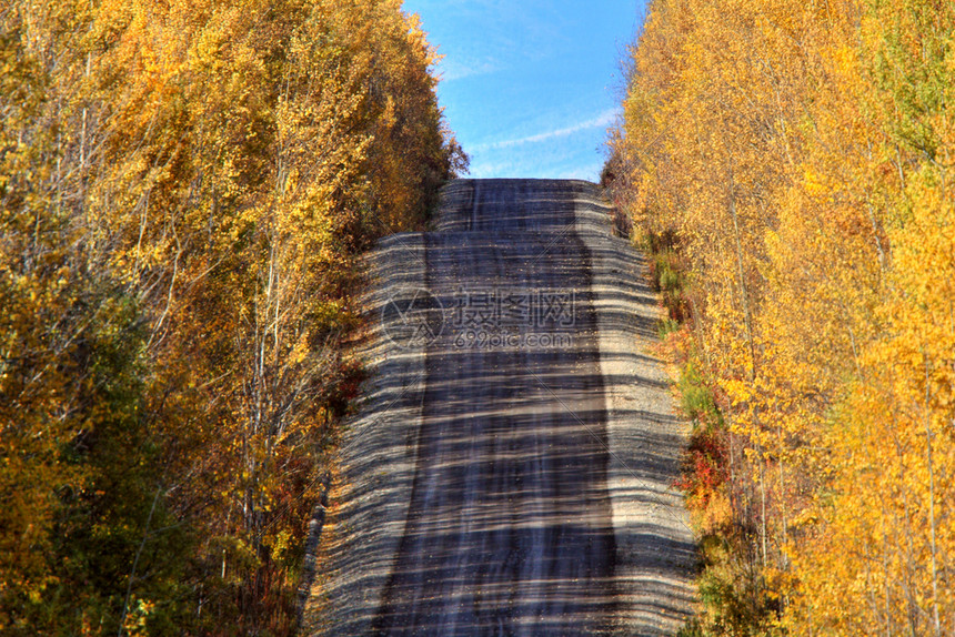 不列颠哥伦比亚省沿回路的多彩森林高清图片下载-正版图片307289501-摄图网