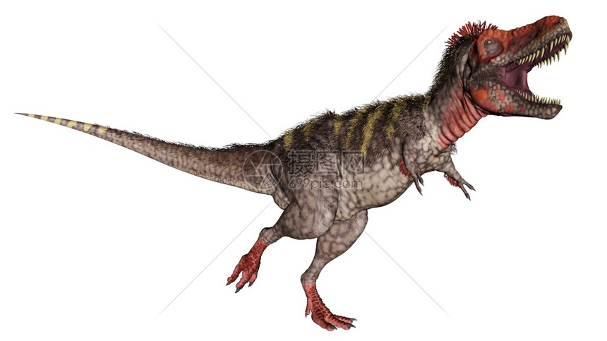 捕食者科学的肉在白色背景中孤立的Tarbosaurus恐龙咆哮3D使Tarboazon恐龙咆哮3D使图片素材-正版创意图片307826730-摄图网