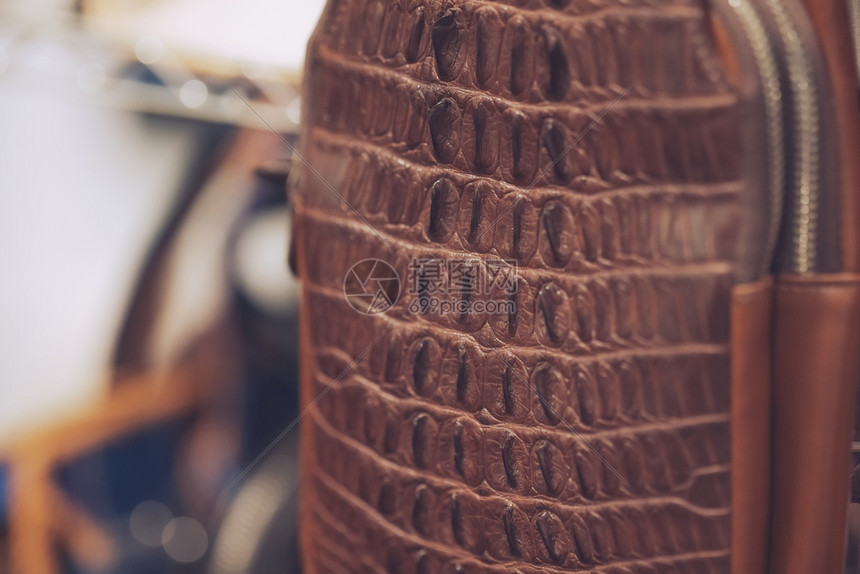 颜色皮革鳄鱼制产品为商业和时装公司设计奢侈品自然蛇皮高清图片下载-正版图片307861353-摄图网