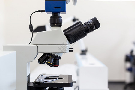 实验室里的显微镜高清图片下载-正版图片307975526-摄图网