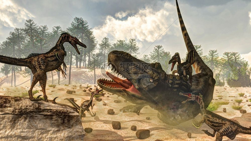 每天在尼帕植物和阿劳卡里亚树旁遭到巨猛龙恐的Tarbosaurus3D使Tarboarusions成为受幼鼠恐龙的Tarboau高清图片下载 ...