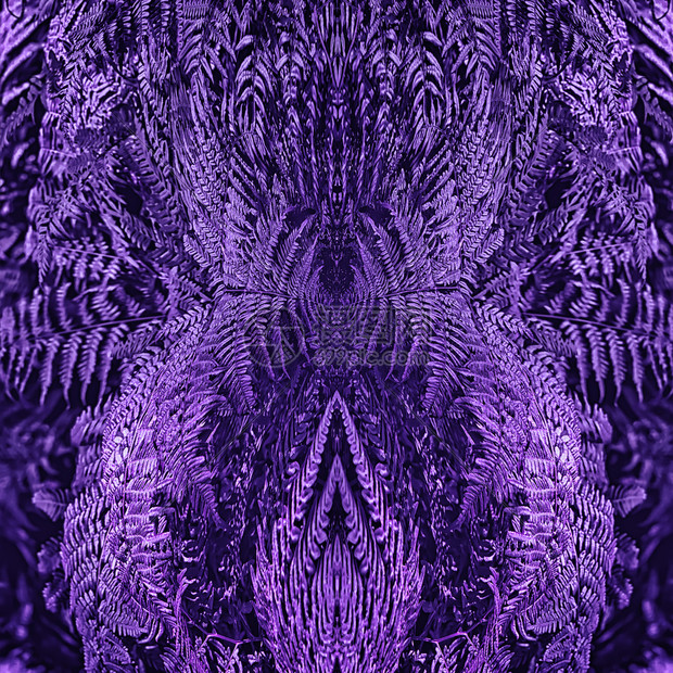 女为国际妇节3月8日制作的紫外超色花粉面镜像模式由ferngreeting卡绿色树枝为国际妇女节制作摘要创背景具有对称过滤效果和图片素材 正版
