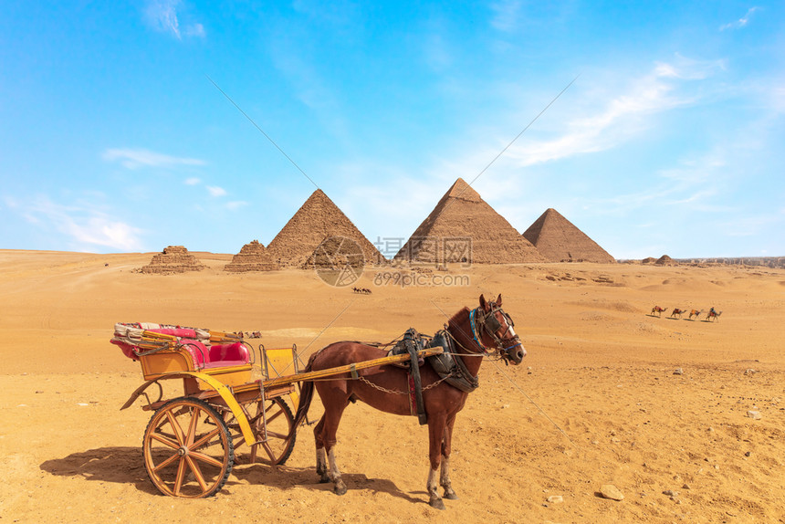 一种埃及吉萨大金字塔前推车的马埃及吉萨大金字塔前推车的马老结石高清图片下载-正版图片308040769-摄图网
