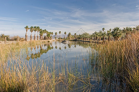 Zzzzx 兹兹克弹簧灌木天堂草原温泉部落大学旅行中心绿洲高清图片下载-正版图片320110339-摄图网