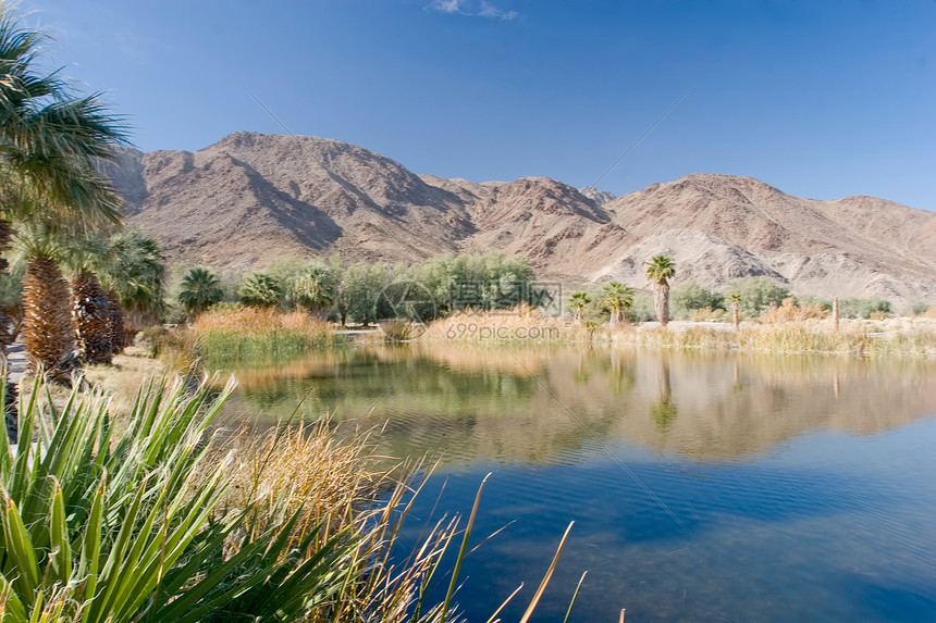 Zzzzx 兹兹克弹簧灌木天堂草原温泉部落大学旅行中心绿洲高清图片下载-正版图片320110339-摄图网