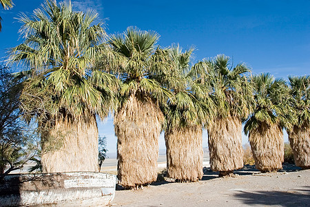 Zzzzx 兹兹克草原部落弹簧温泉旅行孤独灌木矿物沙漠游客高清图片下载-正版图片320110332-摄图网