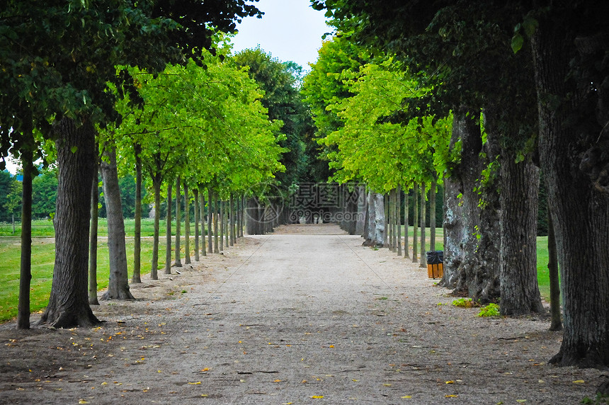 公园路径碎石绿色小路人行道高清图片下载-正版图片320308530-摄图网
