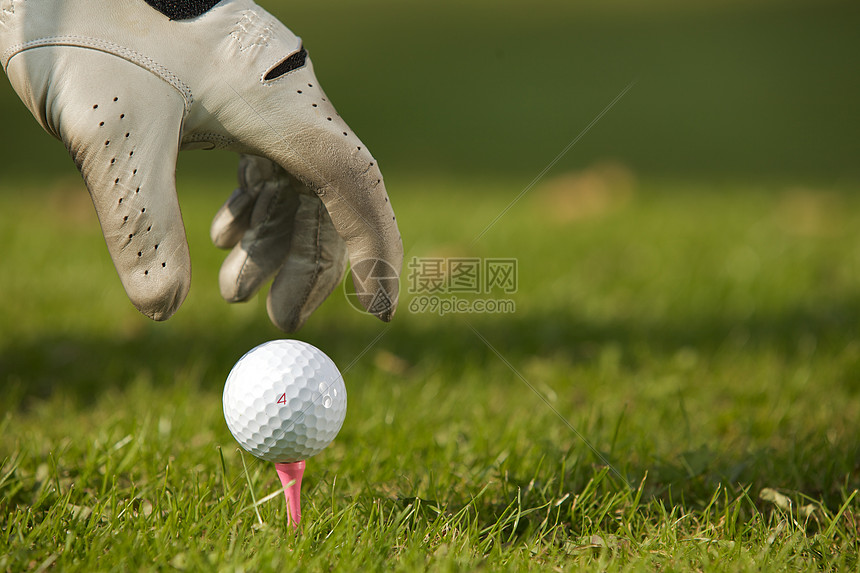 人手定位高尔夫球在Ttee上 特写高清图片下载-正版图片320365842-摄图网