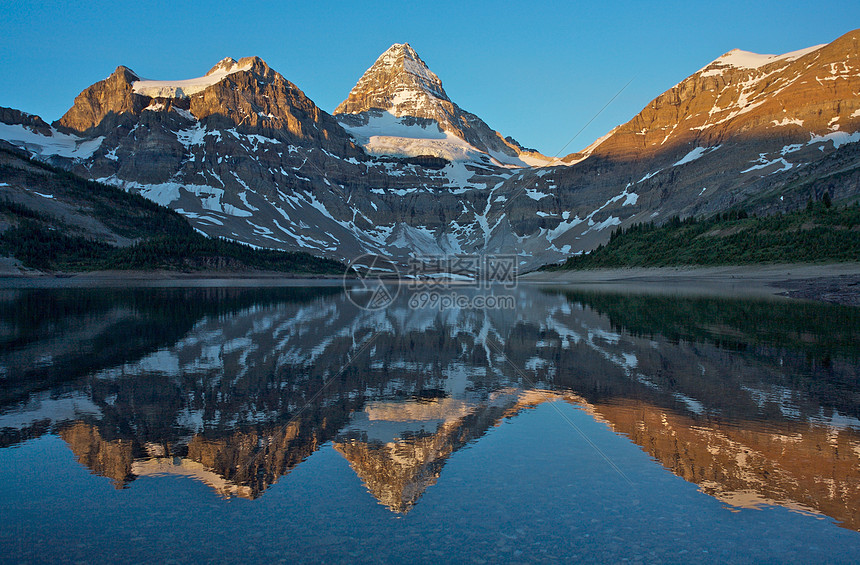 Assiniboine山 有反射的加拿大落基山脉公园高山首脑冰川高清图片下载-正版图片320372142-摄图网