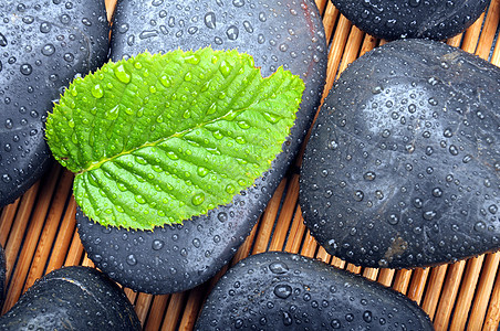 十六石药品黑色生活岩石鹅卵石温泉叶子宏观卵石下雨高清图片下载-正版图片320563535-摄图网