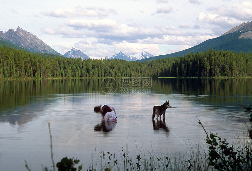 加拿大 加拿大公园 贾斯帕纳特 蜜月湖风景森林山脉孩子们蜜月国家公园高清图片下载-正版图片320468329-摄图网