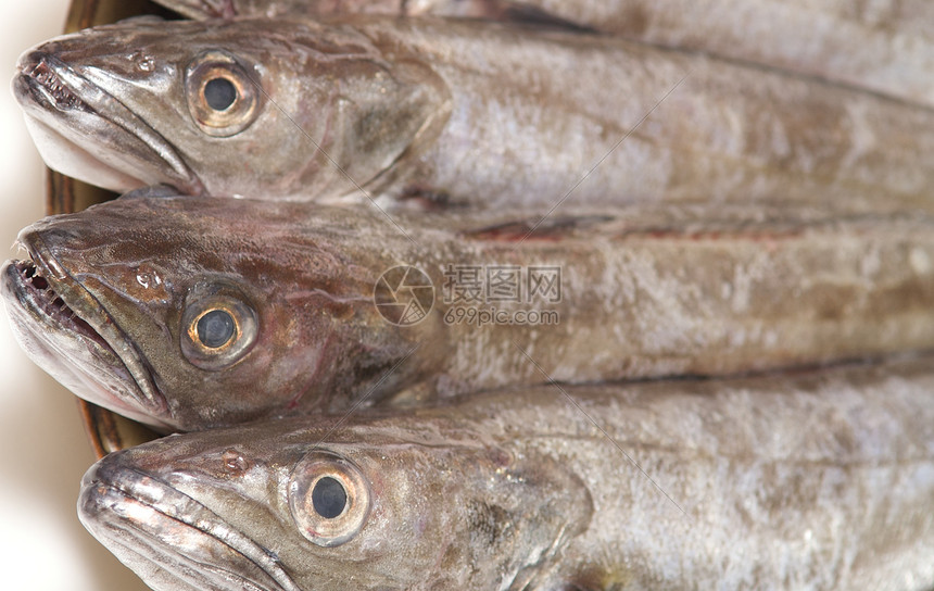 年轻的哈克人把注意力集中在头顶上高清图片下载-正版图片320470190-摄图网