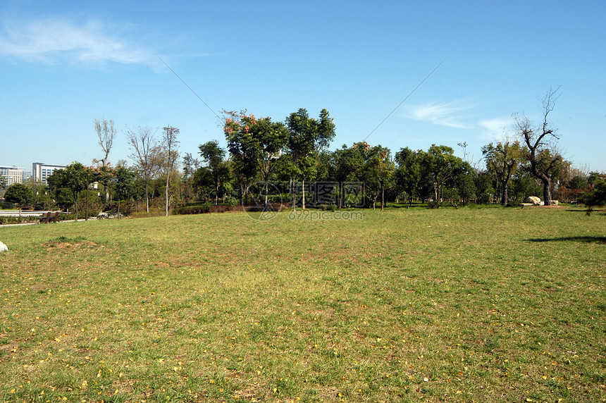 城市广场公园植物植物园道路树木娱乐正方形闲暇灌木草地公园高清图片下载-正版图片320479367-摄图网