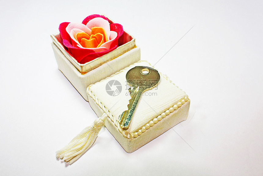 玫瑰键( K)高清图片下载-正版图片320499896-摄图网