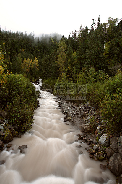 不列颠哥伦比亚省Argle Creek旅行山腰灌木丛风景山脉雨林森林海岸树木岩石高清图片下载-正版图片320603243-摄图网
