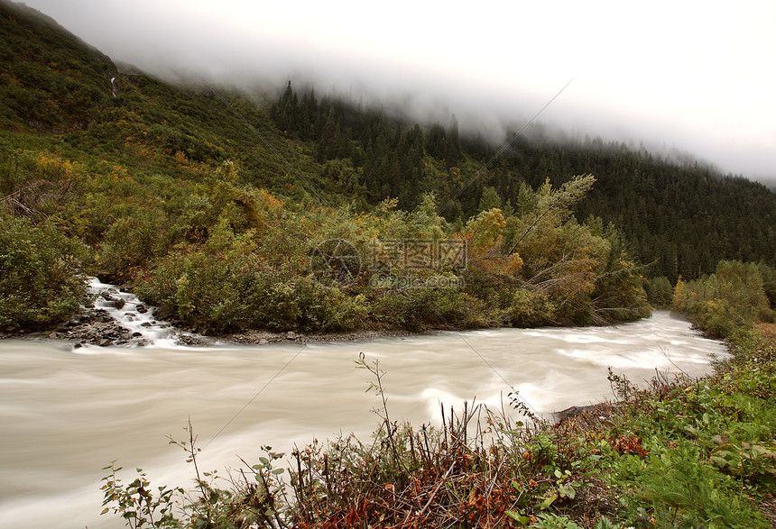 不列颠哥伦比亚省Argle Creek森林海岸岩石山腰树木山脉水平雨林旅行风景高清图片下载-正版图片320603245-摄图网