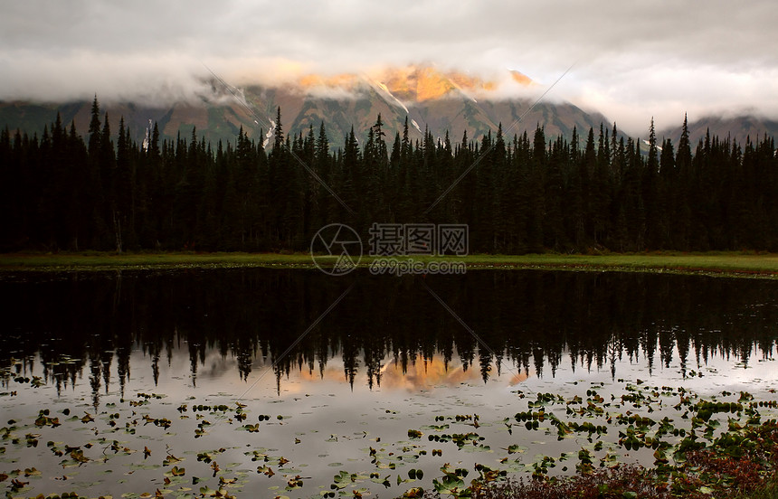 对不列颠哥伦比亚省湖泊的反思山脉场景森林颜色水草睡莲多云松树树木旅行高清图片下载-正版图片320603246-摄图网