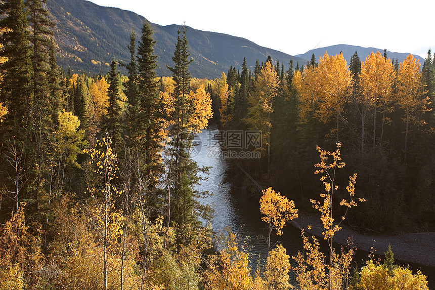 不列颠哥伦比亚北部坦锡拉河场景落叶树叶多云反思森林灌木丛树木旅行水平高清图片下载-正版图片320603307-摄图网