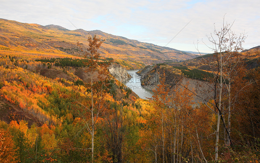 不列颠哥伦比亚北部Stikine河大峡谷风景海岸山坡水平森林丘陵场景山脉灌木丛松树高清图片下载-正版图片320603329-摄图网