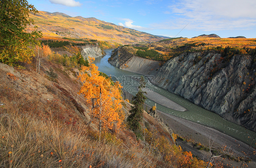 不列颠哥伦比亚北部Stikine河大峡谷水平松树场景森林丘陵衬套树叶旅行表面山脉高清图片下载-正版图片320603340-摄图网