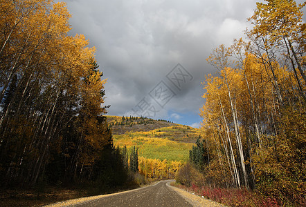 不列颠哥伦比亚省沿山路的秋木高清图片下载-正版图片320605294-摄图网