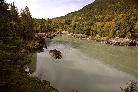 不列颠哥伦比亚省Skeena河场景灌木丛松树森林树叶丘陵风景树木旅行岩石高清图片下载-正版图片320603201-摄图网