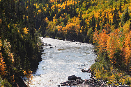 不列颠哥伦比亚省沿着山路沿山道的棕色秋叶树风景观光场景水平岩石丘陵树叶山脉灌木丛松树高清图片下载-正版图片320605265-摄图网