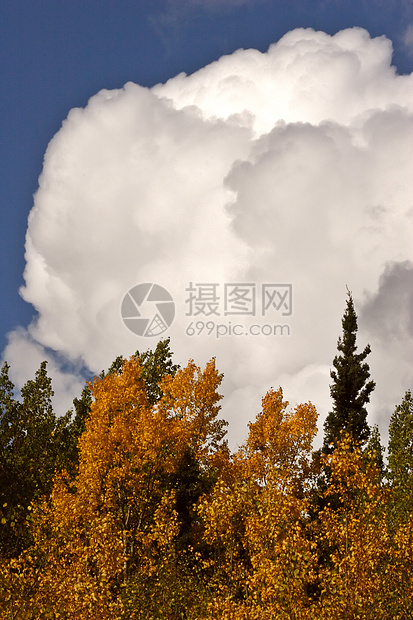 不列颠哥伦比亚省森林上的云云高清图片下载-正版图片320605299-摄图网