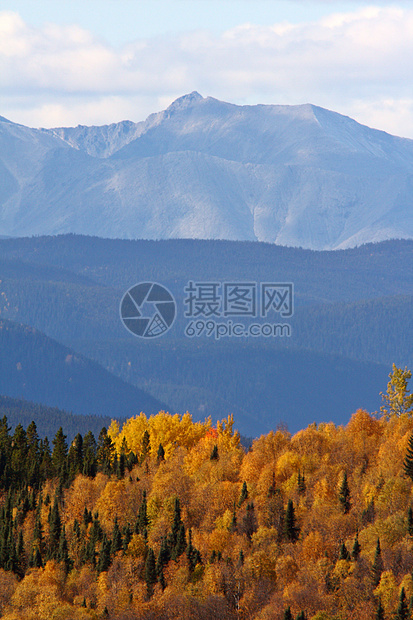 不列颠哥伦比亚省山区秋季丘陵旅行树叶阴霾多云松树风景山峰森林树木高清图片下载-正版图片320605394-摄图网
