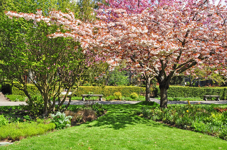 Sprink 公园高清图片下载-正版图片320636133-摄图网