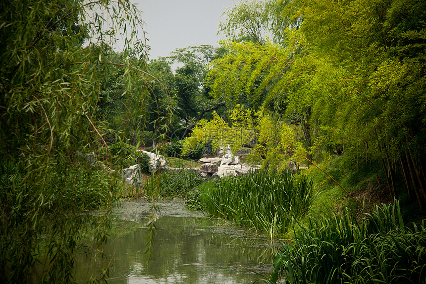 中国的Wald Wald竹子风水建筑花园生活自然界热带植物学文化法治高清图片下载-正版图片320661276-摄图网