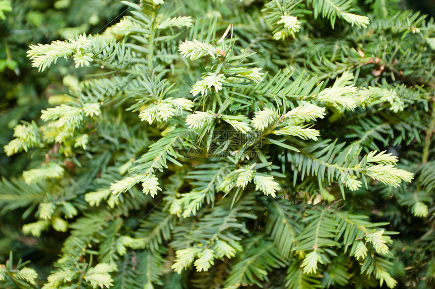 欧洲( Youw)高清图片下载-正版图片320671983-摄图网