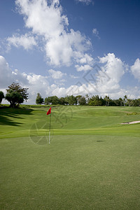高尔夫绿色 Golf Green旗帜旗杆树木球道高尔夫球高清图片下载-正版图片320694750-摄图网