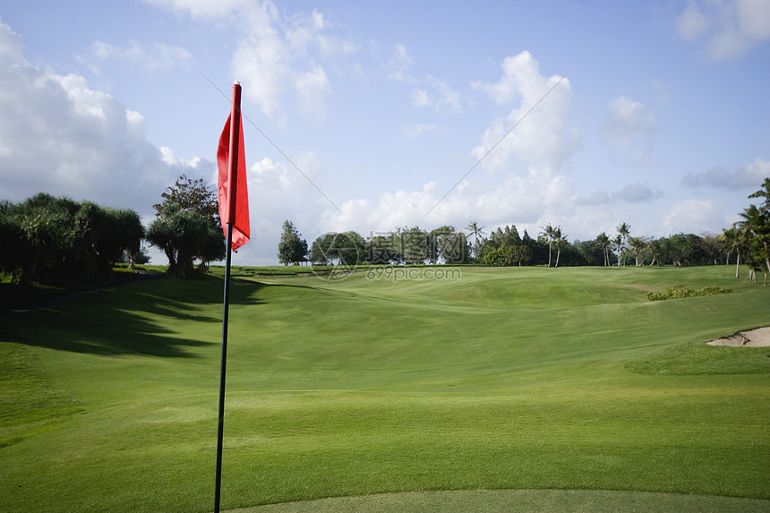 高尔夫绿色 Golf Green旗杆树木球道旗帜高尔夫球高清图片下载-正版图片320694749-摄图网