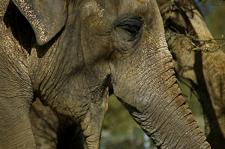 profile图片_profile素材_profile高清图片_摄图网图片下载