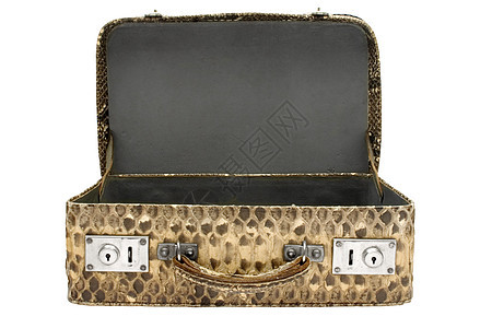 蛇皮袋 有排印路径情调蛇皮皮肤公文包手提包案件古董配饰剪裁皮革高清图片下载-正版图片320848377-摄图网