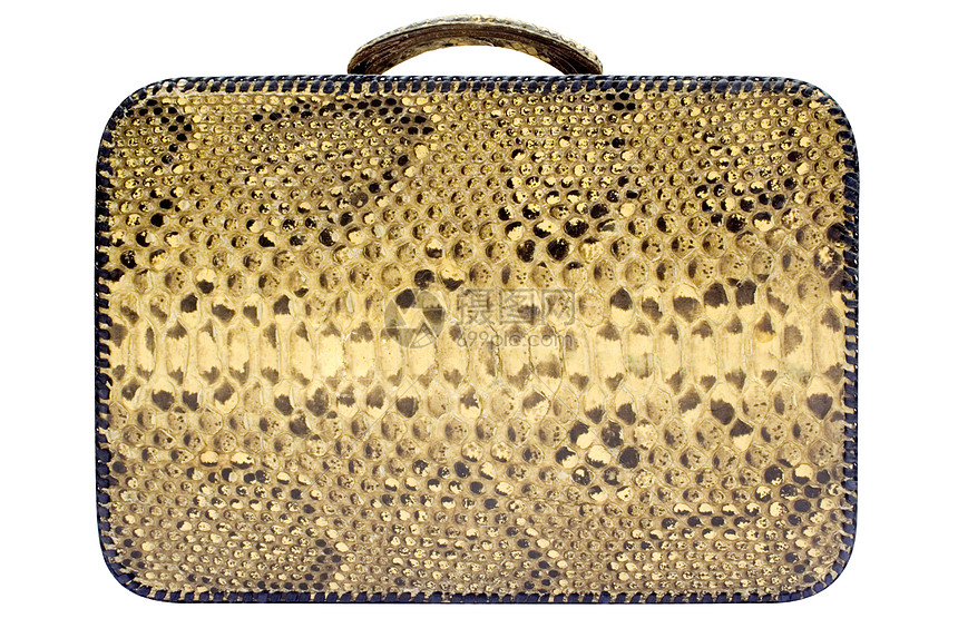 蛇皮袋 有排印路径情调蛇皮皮肤公文包手提包案件古董配饰剪裁皮革高清图片下载-正版图片320848377-摄图网