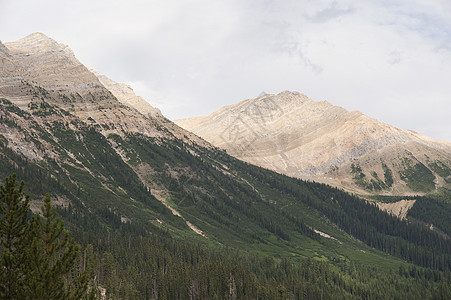 加拿大 不列颠哥伦比亚省 幽鹤国家公园森林国家瀑布树木岩石悬崖吸引力风景山脉公园高清图片下载-正版图片320871516-摄图网