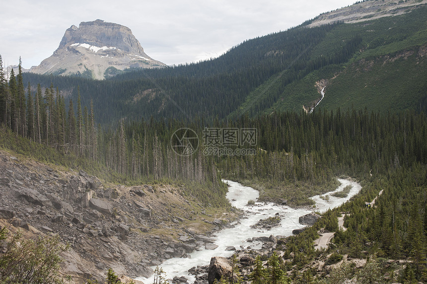 加拿大 不列颠哥伦比亚省 幽鹤国家公园森林国家瀑布树木岩石悬崖吸引力风景山脉公园高清图片下载-正版图片320871516-摄图网