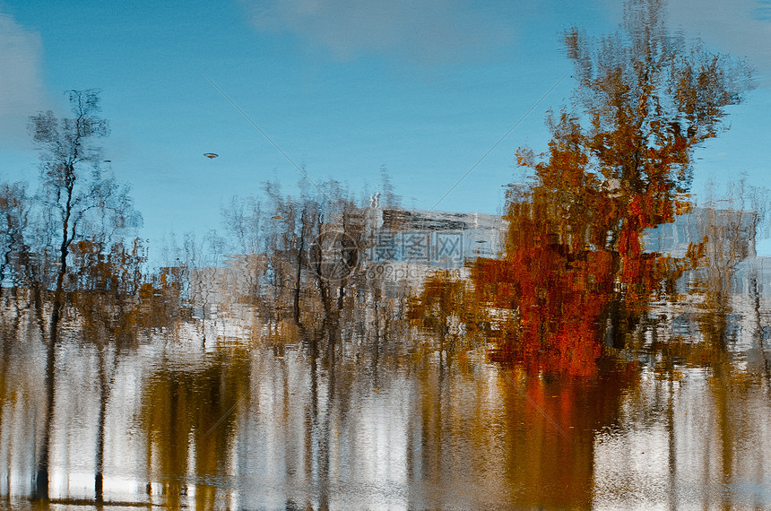 秋天 - 思考高清图片下载-正版图片321069924-摄图网