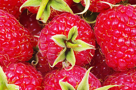 树莓草莓红色饮食食物水果营养浆果覆盆子果汁美丽白色高清图片下载-正版图片321115653-摄图网