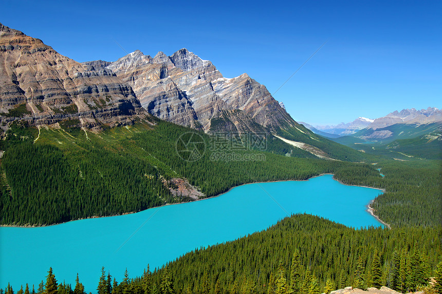 加拿大佩托湖国家风景林地爬坡针叶树植被荒野蓝色森林植物高清图片下载-正版图片321095768-摄图网