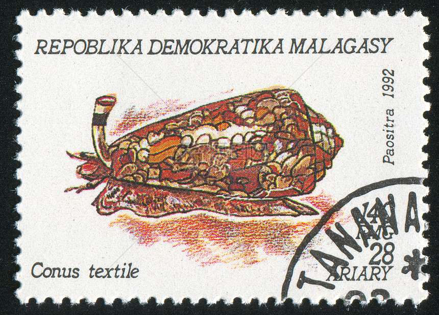 Mollusk 摩卢斯贝类海洋动物尾巴腹足类明信片邮票身体信封邮戳高清图片下载-正版图片321122642-摄图网