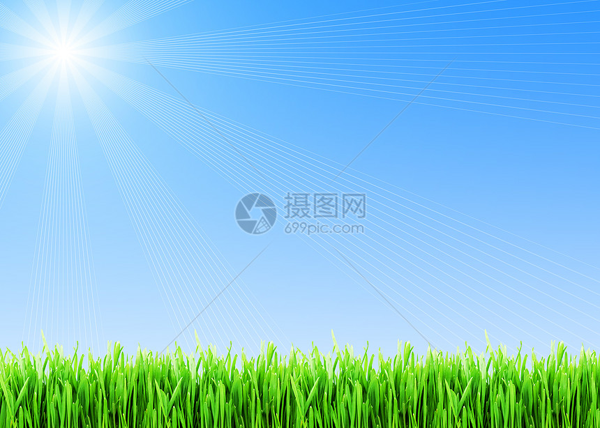春季背景背景太阳光草地太阳生态射线蓝色阳光绿色植物天空高清图片下载-正版图片321346732-摄图网