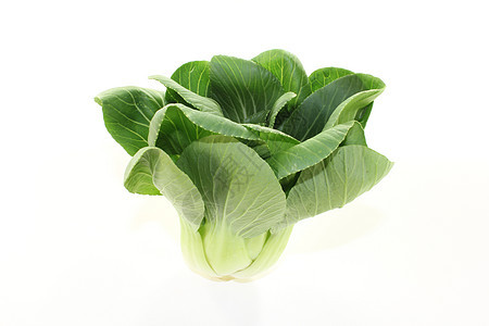 美味可口的pak choi高清图片下载-正版图片321362628-摄图网