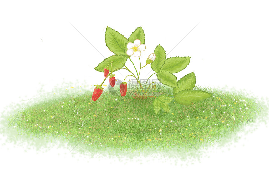 草莓树水果红色农业生长花园食物白色季节绿色农场高清图片下载-正版图片321656446-摄图网