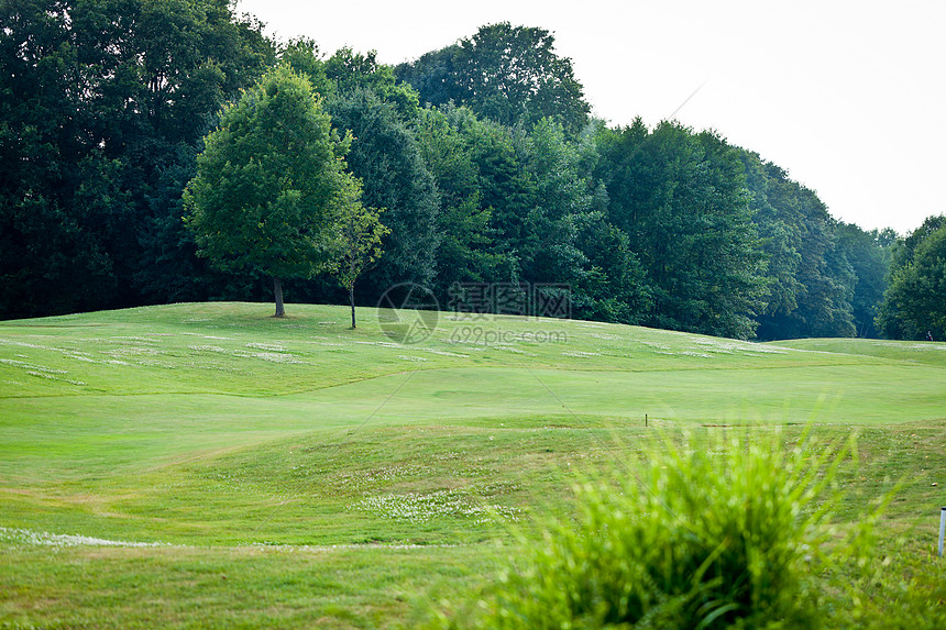 美丽的公园草地和树林背景复制空间晴天天空阳光季节场地太阳场景全景树木环境高清图片下载-正版图片321683197-摄图网