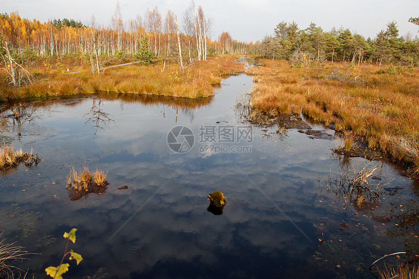 秋季( bog)高清图片下载-正版图片321700618-摄图网